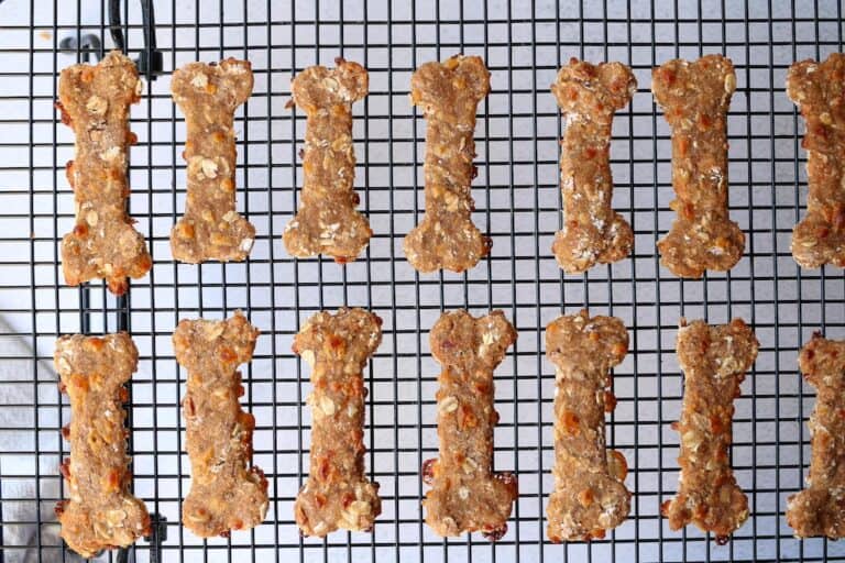 Bacon Cheddar Dog Treats - Hungry Dane Kitchen