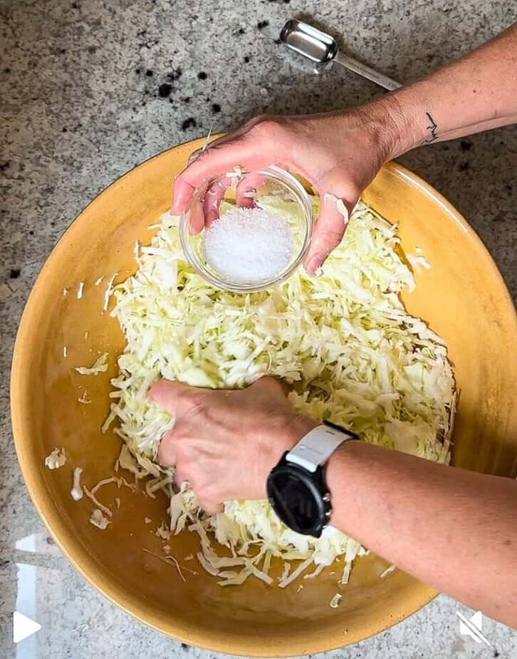Homemade Sauerkraut with Garlic - Hungry Dane Kitchen